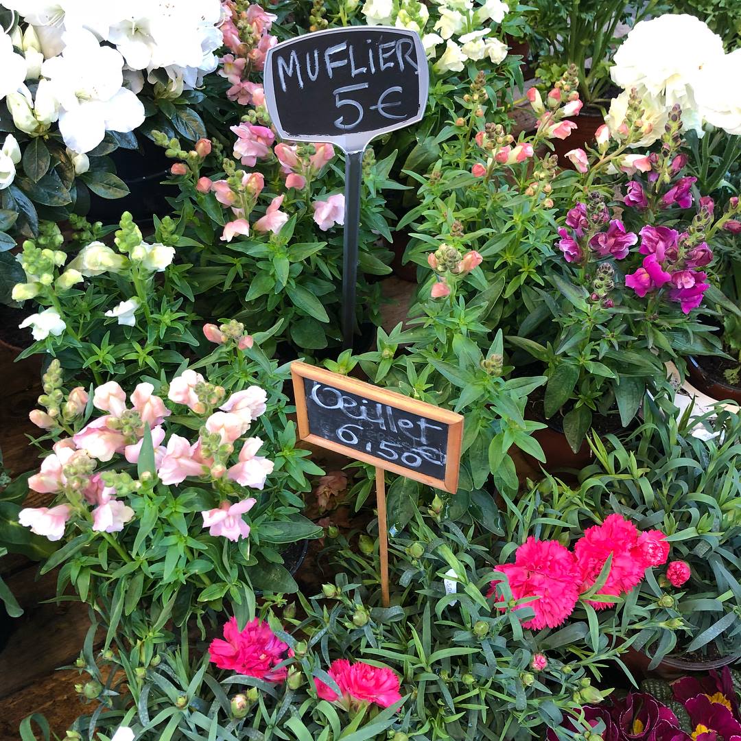 who am I? – COURTNEY GOODWIN